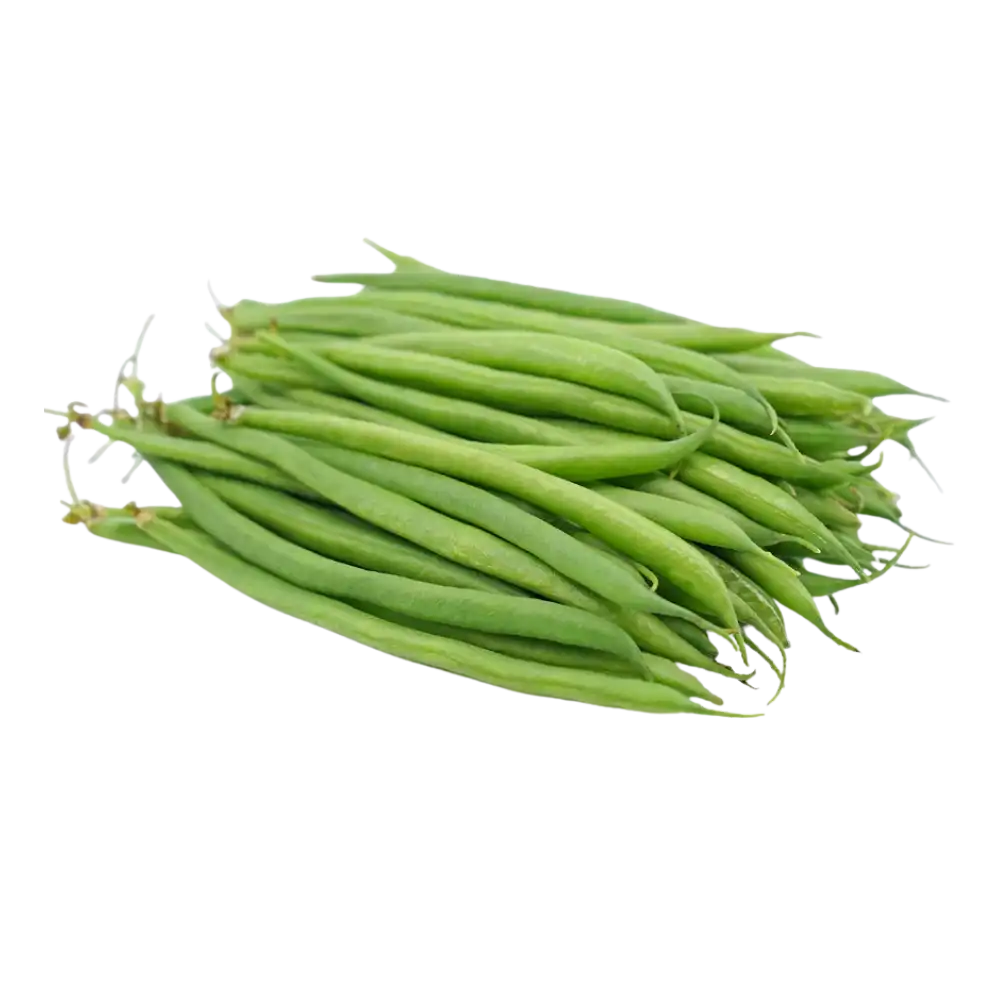 Buy French Beans Seeds Online | Bulk & Wholesale Suppliers